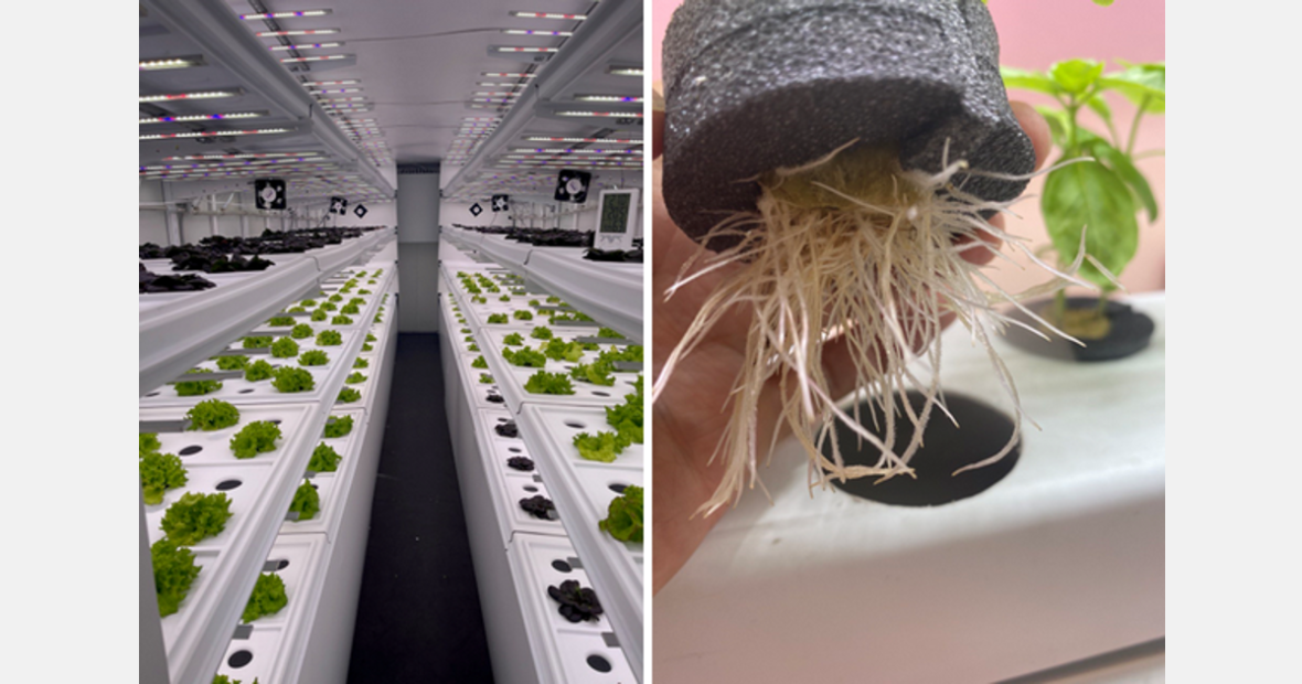 World’s Biggest R&D Vertical Farm Opens in Abu Dhabi - Shafqat Farooq